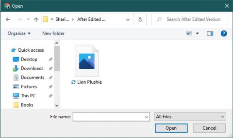 The Best Ways to Share Photos With Clients ( Free and Paid)