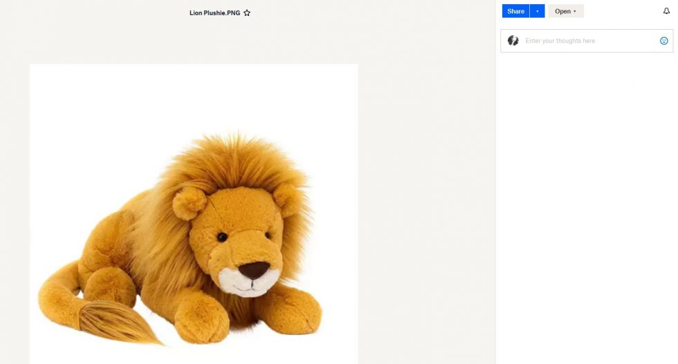 The Best Ways to Share Photos With Clients ( Free and Paid)