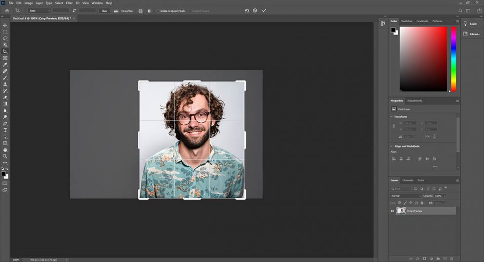 What is Cropping in Photography: Why You Should Crop a Photo