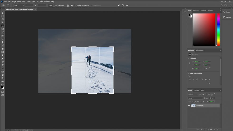 What is Cropping in Photography: Why You Should Crop a Photo
