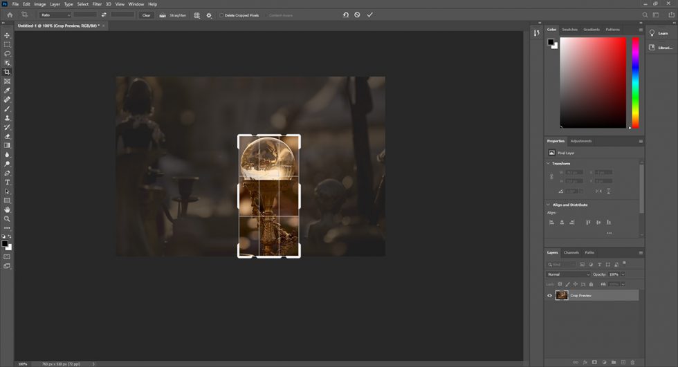 What is Cropping in Photography: Why You Should Crop a Photo