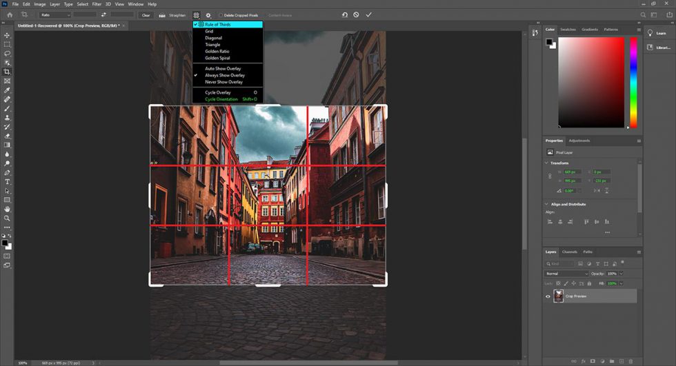 What is Cropping in Photography: Why You Should Crop a Photo