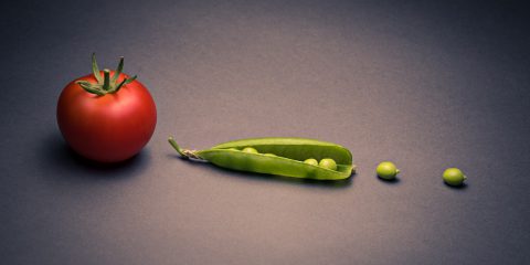 Understanding Color in Photography - A Complete Guide