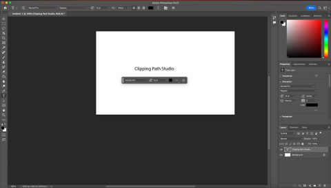 Rasterize in Photoshop: Definition and Step-by-Step Guide