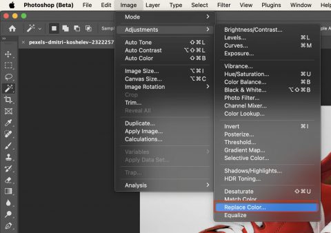A Beginner’s Guide to Changing Colors in Photoshop