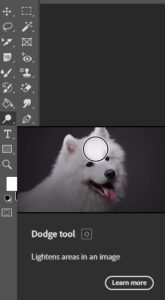 Photoshop Toolbar: A Complete Guide to the Tools