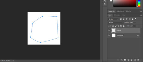How to Use Pen Tool in Photoshop? An In-depth Tutorial