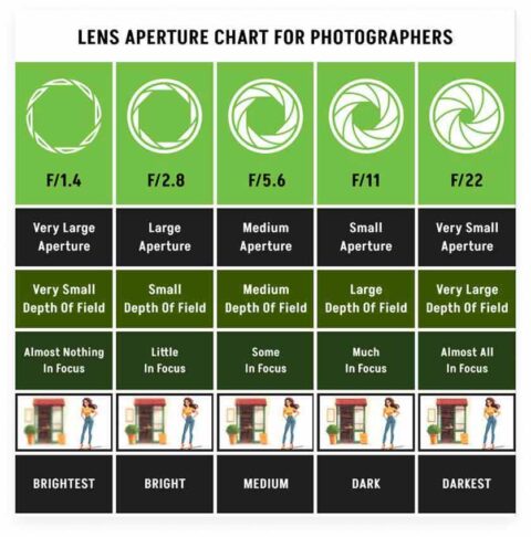 What is Aperture in Photography? A Beginner’s Guide